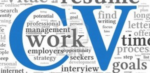 CV Formats In Pakistan For Professionals In MS Word Format