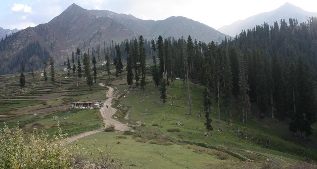 Mansehra City General Knowledge Online Info Mcqs Quiz - Gotest