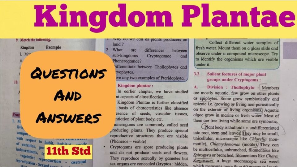 11th Class Biology Chapter 9 Kingdom Plantae Short Question Answers