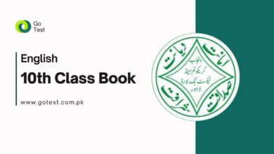English 10 Class Textbook Download Online [ Punjab Board]