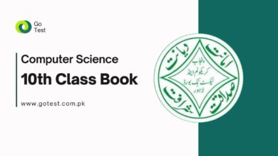 Computer Science 10 Class Textbook Download Online [ Punjab Board]